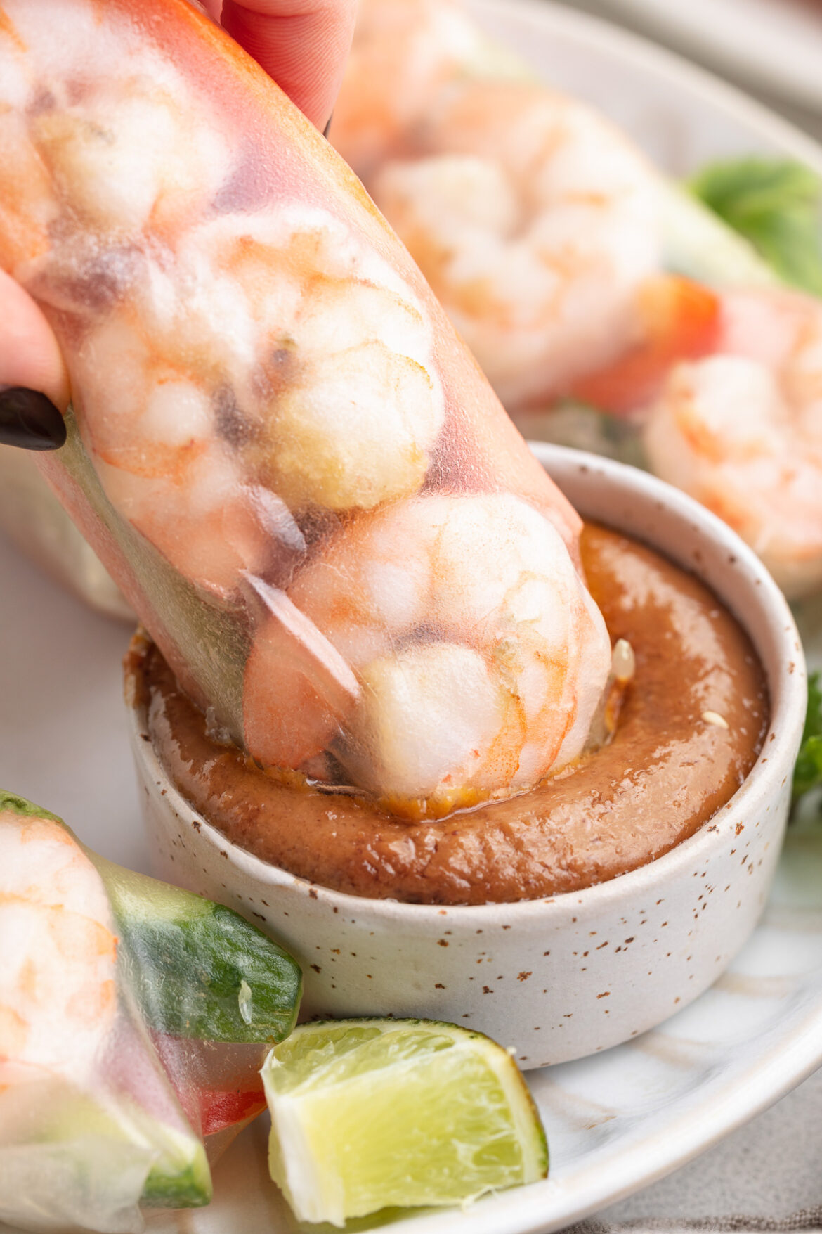 Shrimp Spring Rolls with Peanut Sauce